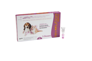 Revolution® Topical Solution for Puppies & Kittens | 5-in-1 Topical ...