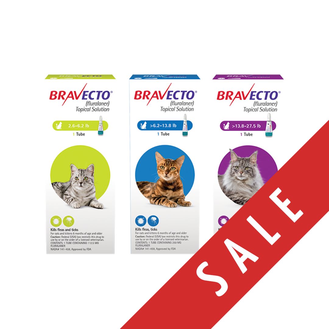 Bravecto® Topical Solution for Cats | Fights against fleas & ticks - TCAP
